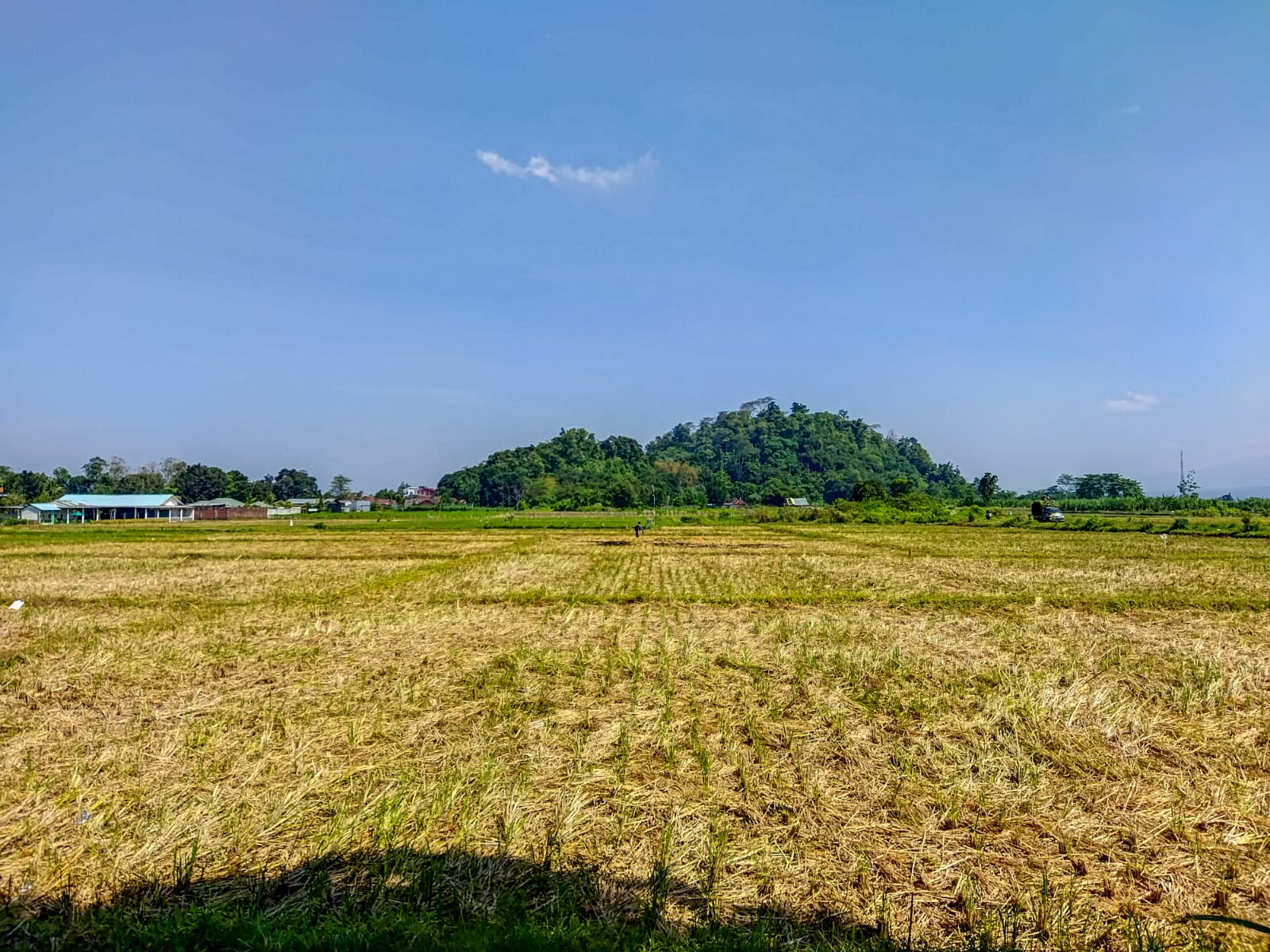 Keberatan : Naiknya Tarif PBB, Bidang Pertanian dan Peternakan Bisa ...